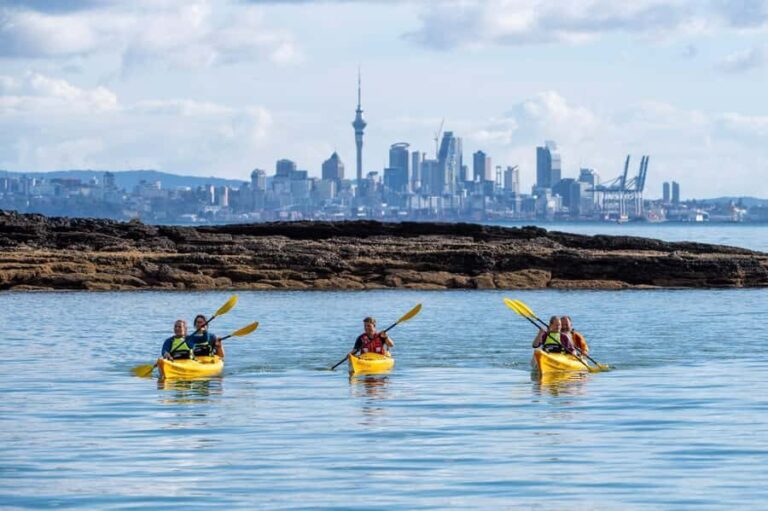 Auckland: Half-Day Sea Kayak Tour to Motukorea Island - Why This Tour Offers Great Value