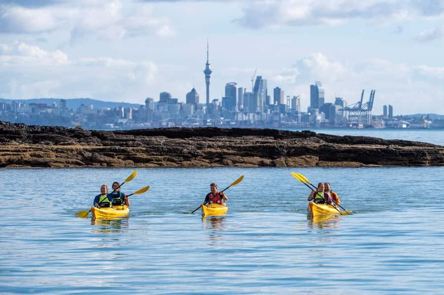 Auckland: Half-Day Sea Kayak Tour to Motukorea Island - Why This Tour Offers Great Value