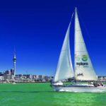 Auckland Harbour 1.5-Hour Sailing Cruise - Practical Details & Logistics