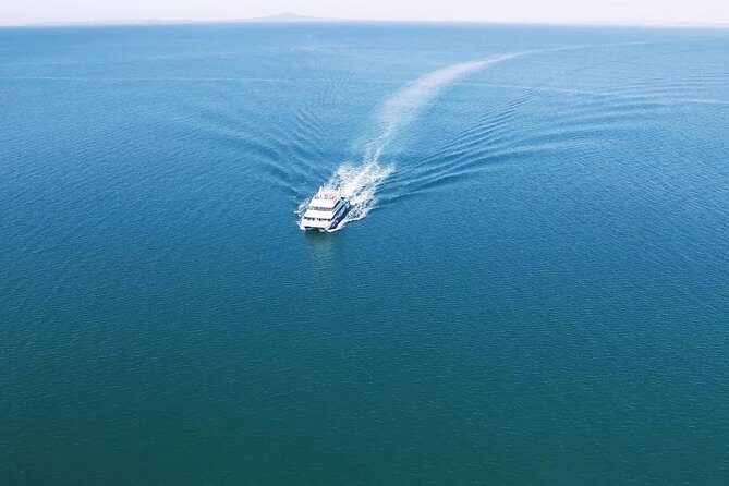 Auckland Harbour Cruise - The Experience on Board