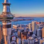 Auckland Highlight Fullday City Tour - Authentic Experiences and Hidden Gems