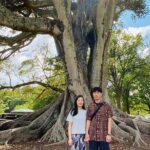 Auckland Highlights 4 Hrs city Tour - What Makes the Experience Stand Out