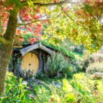Auckland: Hobbiton Movie Set Tour with Lunch - Detailed Breakdown of the Experience