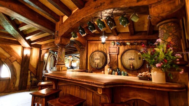 Auckland: Hobbiton, Waitomo Caves, and Rotorua 1-Way Tour - Transport, Timing, and Value