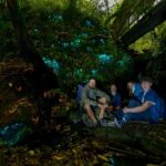Auckland: Inner-City Glowworm Experience in Ancient Volcano - Practical Details: What to Know Before You Go