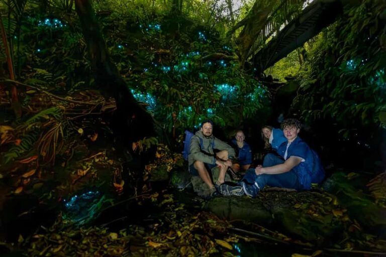 Auckland: Inner-City Glowworm Experience in Ancient Volcano - Practical Details: What to Know Before You Go