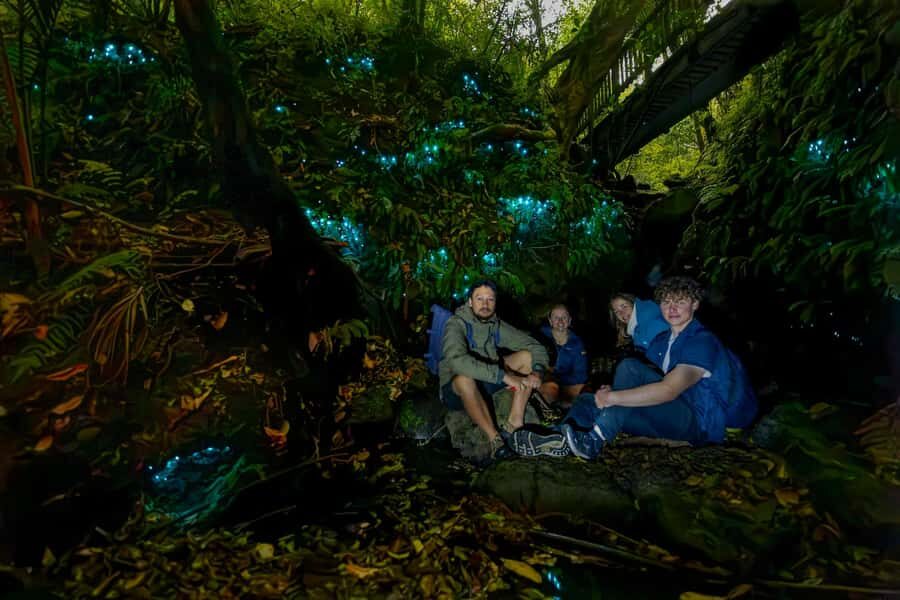 Auckland: Inner-City Glowworm Experience in Ancient Volcano - Practical Details: What to Know Before You Go