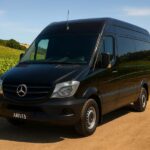 Auckland: Luxury Kumeu Wine Tour with Gourmet Lunch - Why This Tour Works Well