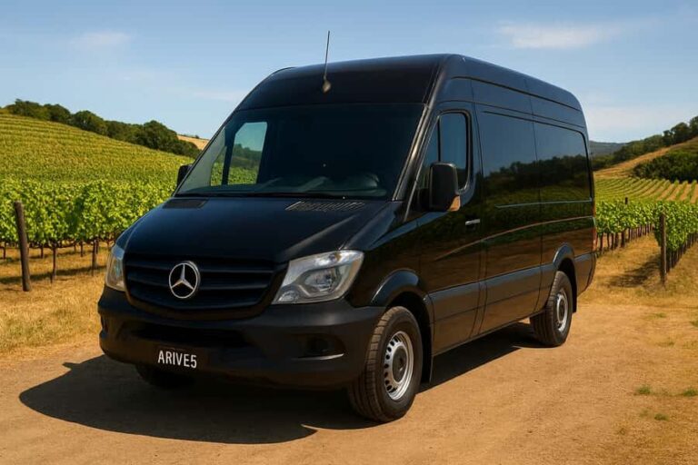 Auckland: Luxury Kumeu Wine Tour with Gourmet Lunch - Why This Tour Works Well