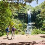 Auckland Maori Tour - Who Will Love This Tour?