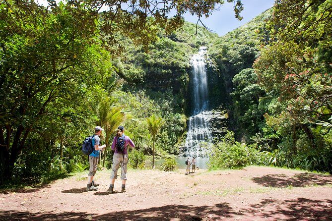 Auckland Maori Tour - Who Will Love This Tour?
