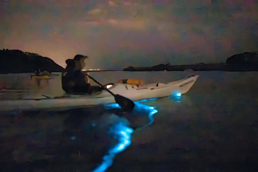 Auckland: Night Kayak Tour in Glowing Bioluminescent Waters - What to Expect from the Night Kayak Tour in Auckland