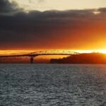 Auckland: Nightlights Harbour Cruise with Canapés and Drink - The Itinerary in Detail