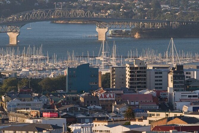 Auckland Private City Tour. Cruise port or Hotel pick up. - Who Should Consider This Tour?