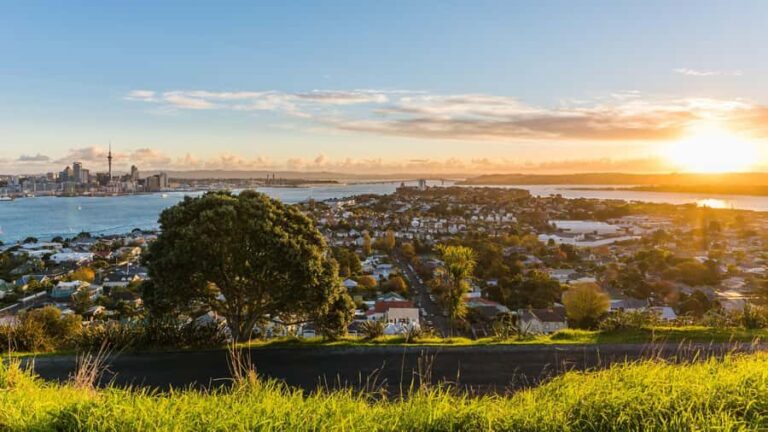 Auckland: Private City Tour with Mount Victoria and Mt. Eden - Final Thoughts