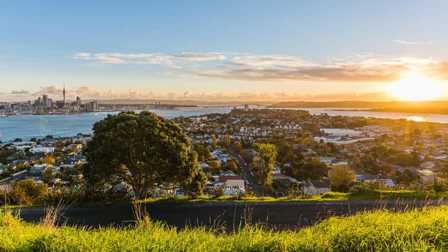 Auckland: Private City Tour with Mount Victoria and Mt. Eden - Final Thoughts