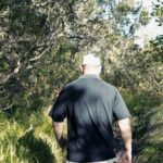 Auckland Private Custom Journeys in Luxury - Exploring Auckland in Style: An In-Depth Review