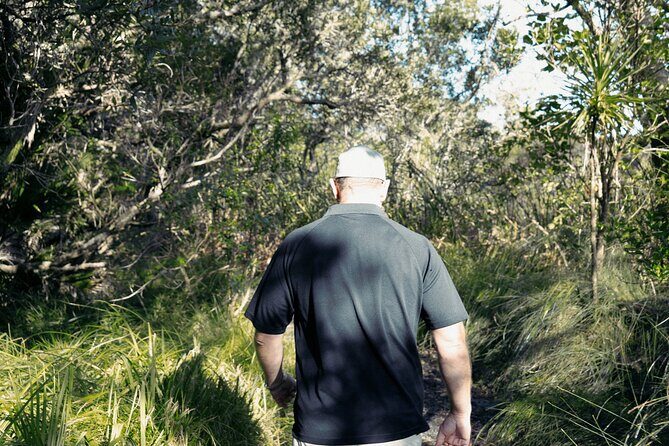 Auckland Private Custom Journeys in Luxury - Exploring Auckland in Style: An In-Depth Review