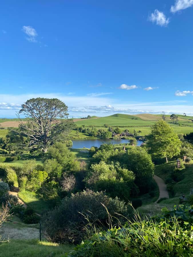Auckland: Private Hobbiton Movie Set & Waitomo Caves Tour - An In-Depth Look at the Tour Experience