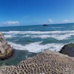 Auckland: Private Muriwai Gannets Experience - The Value of This Tour