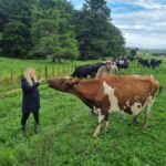 Auckland: Private Sheep & Beef Working Farm Tour - Who Should Consider This Tour?