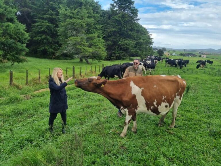 Auckland: Private Sheep & Beef Working Farm Tour - Who Should Consider This Tour?