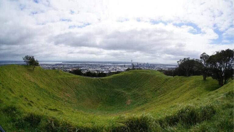 Auckland: Private Sightseeing Full or Half Day Guided Tour - What to Expect from the Experience