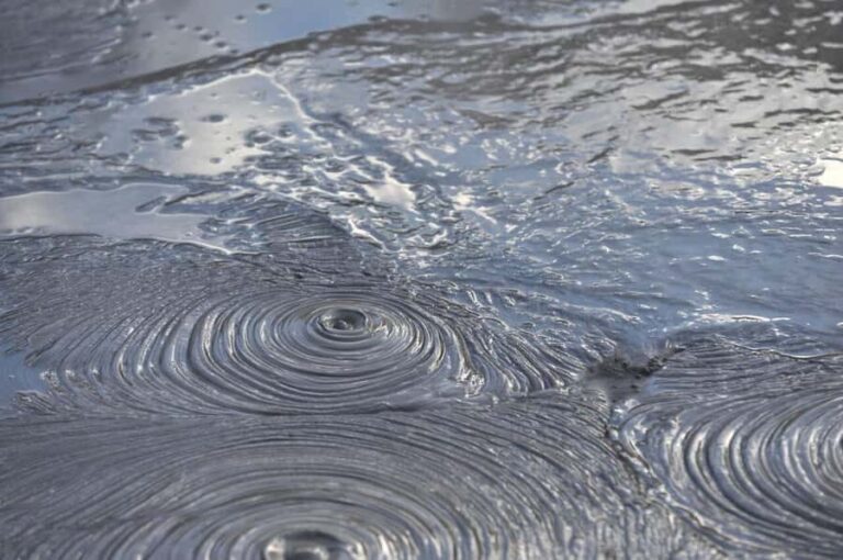 Auckland: Private Tour to Waitomo & Te Puia Valley - Practical Considerations