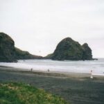 Auckland Private Tour: West Coast Wilderness & Piha Beach - An In-Depth Look at This Auckland Private Tour