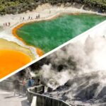 Auckland: Rotorua Highlights inc Wai O Tapu & Te Puia Tour - Why This Tour Works for You