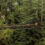 Auckland: Rotorua Highlights w Redwoods Treewalk & Hot Tubs - What Makes This Tour Stand Out?