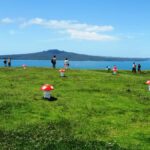 Auckland: Segway Tour to Mount Victoria - What Travelers Say