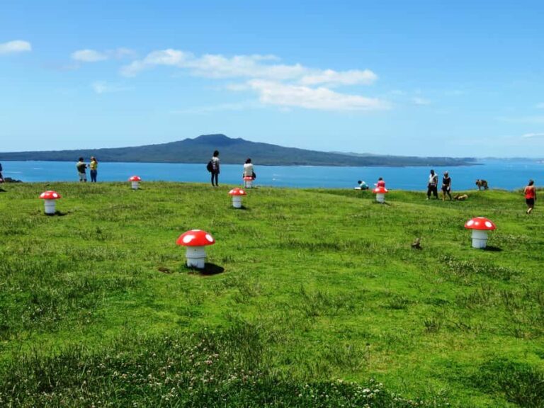 Auckland: Segway Tour to Mount Victoria - What Travelers Say