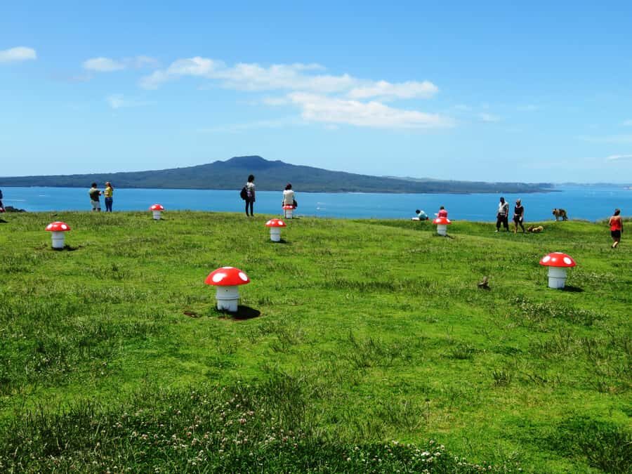Auckland: Segway Tour to Mount Victoria - What Travelers Say