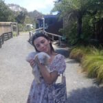 Auckland: Sheepworld, Honey Centre, & Kauri Trail Tour - Detailed Breakdown of Each Stop