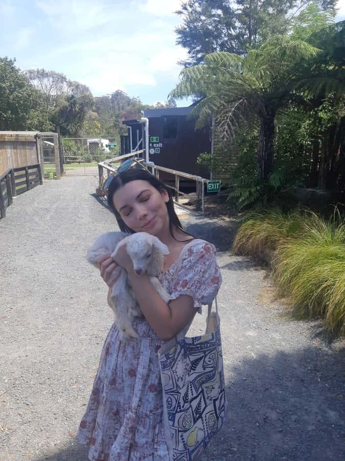 Auckland: Sheepworld, Honey Centre, & Kauri Trail Tour - Detailed Breakdown of Each Stop