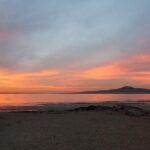 Auckland Sights Exclusive 4 Hour Luxury Day Tour - The Value of the Experience