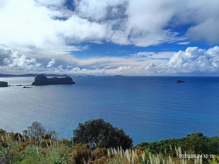 Auckland to Coromandel: Private Coastal Escape - Detailed Itinerary Breakdown