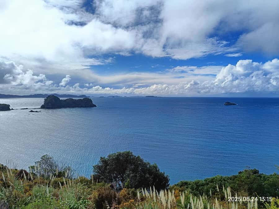 Auckland to Coromandel: Private Coastal Escape - Detailed Itinerary Breakdown
