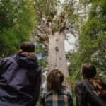 Auckland to Paihia via West Coast Small Group Tour (One Way) - What Makes This Tour Stand Out?