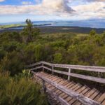 Auckland to Rangitoto Island Ferry - Who Is This Tour Best For?