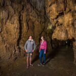Auckland to Rotorua via Waitomo Caves Small Group Tour (One Way) - Authentic Insights from Past Travelers