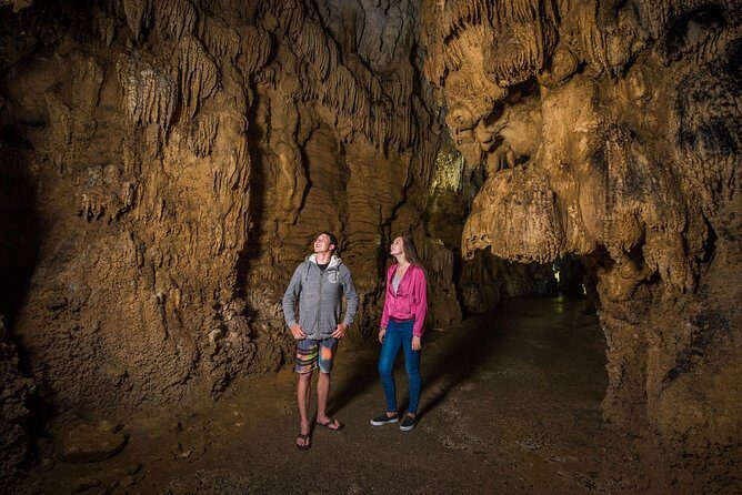 Auckland to Rotorua via Waitomo Caves Small Group Tour (One Way) - Authentic Insights from Past Travelers