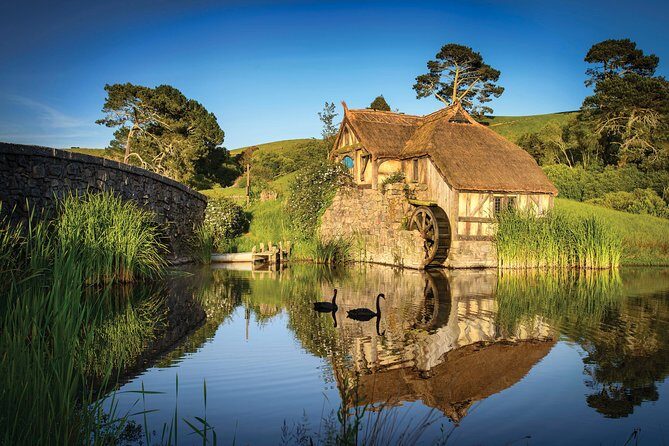 Auckland to Waitomo Caves and Hobbiton Movie Set Private Tour - Who Will Love This Tour?