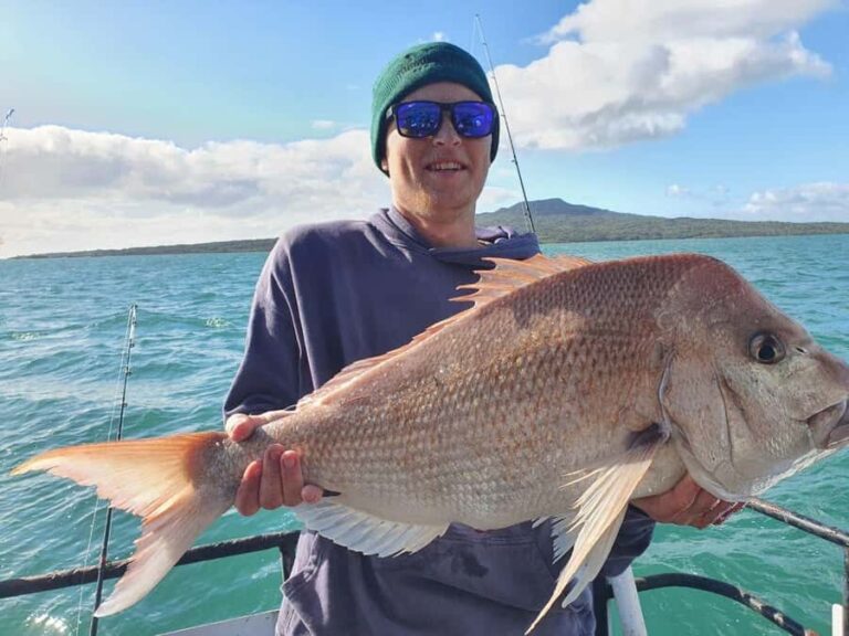 Auckland: Twilight Fishing Charter 5pm - 9:30pm - Why This Tour Is Worth Considering