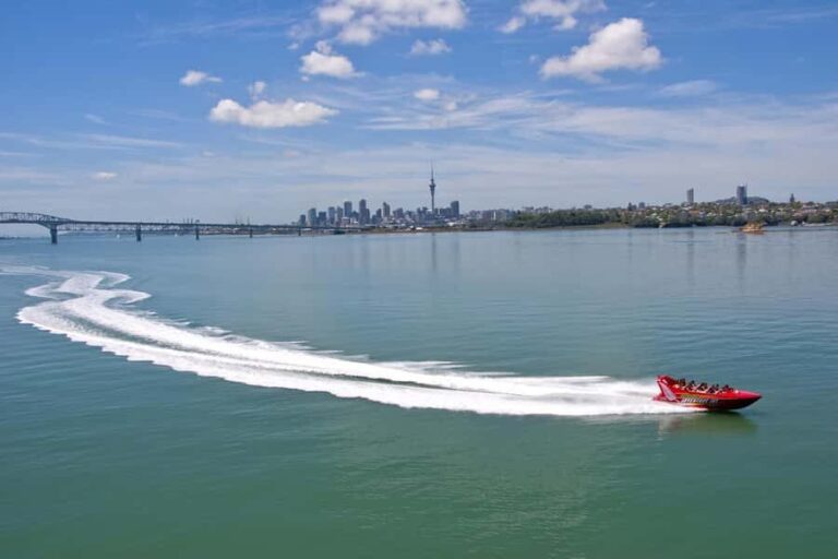 Auckland: Waitemata Harbour Jet Boat Ride - Overview of the Experience