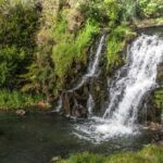 Auckland Waterfall Tour - The Itinerary: Exploring Waterfalls and Countryside