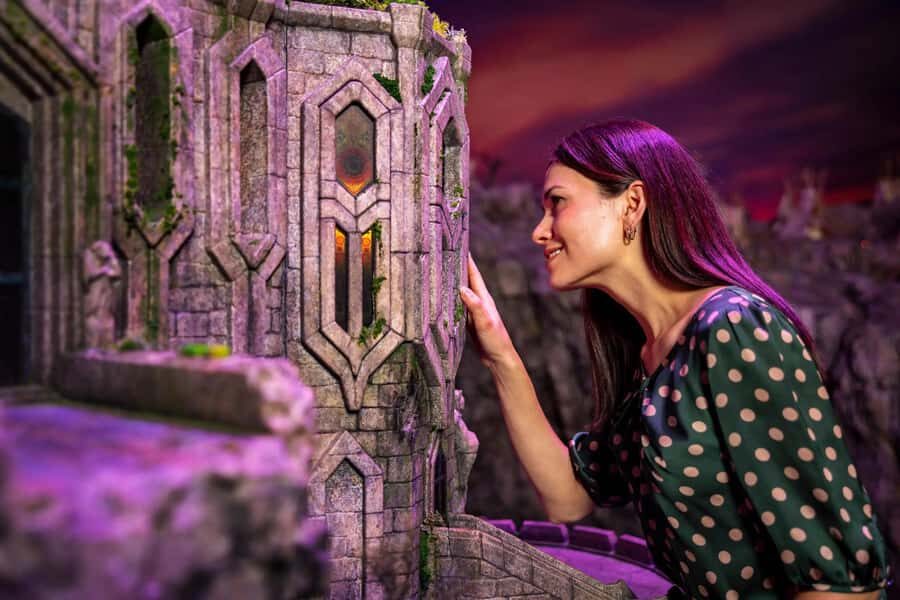 Auckland: Wt Workshop Unleashed Guided Tour Ticket - What Makes the Tour Stand Out