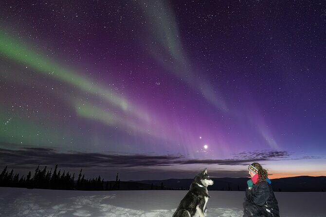 Aurora Activity at Sluice Box Sled Dogs - Final Thoughts: Who’s This Tour Perfect For?