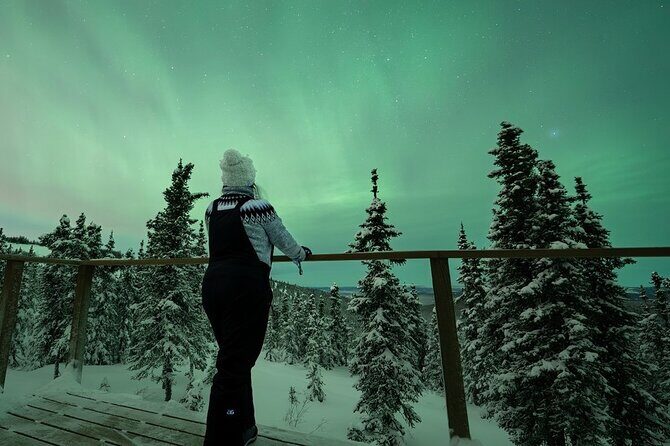 Aurora Oval Nightly Northern Lights Chase - An In-Depth Look at the Experience